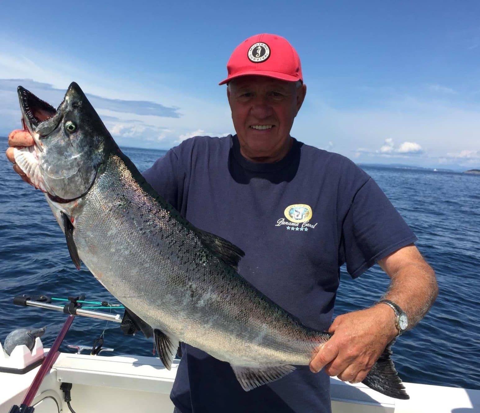 Insulators 118 | Home